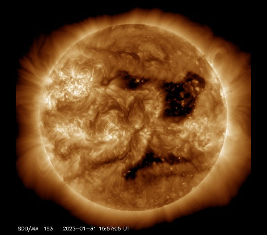Auroras incoming from massive solar coronal holes