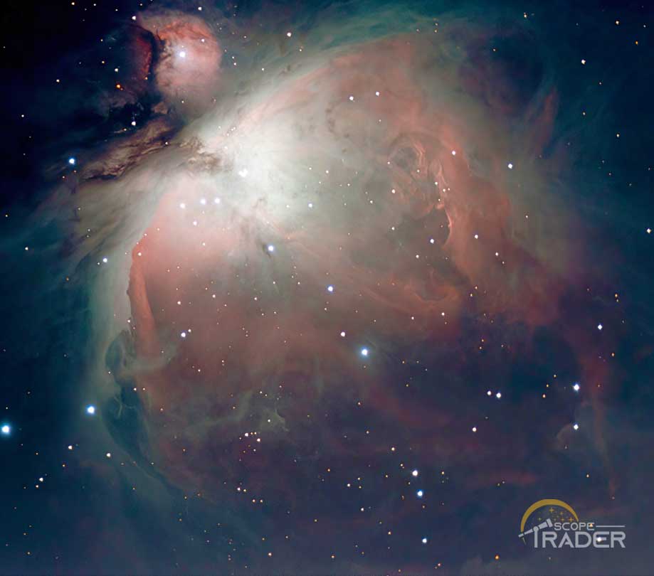 Brown dwarfs in Orion discovered by JWST